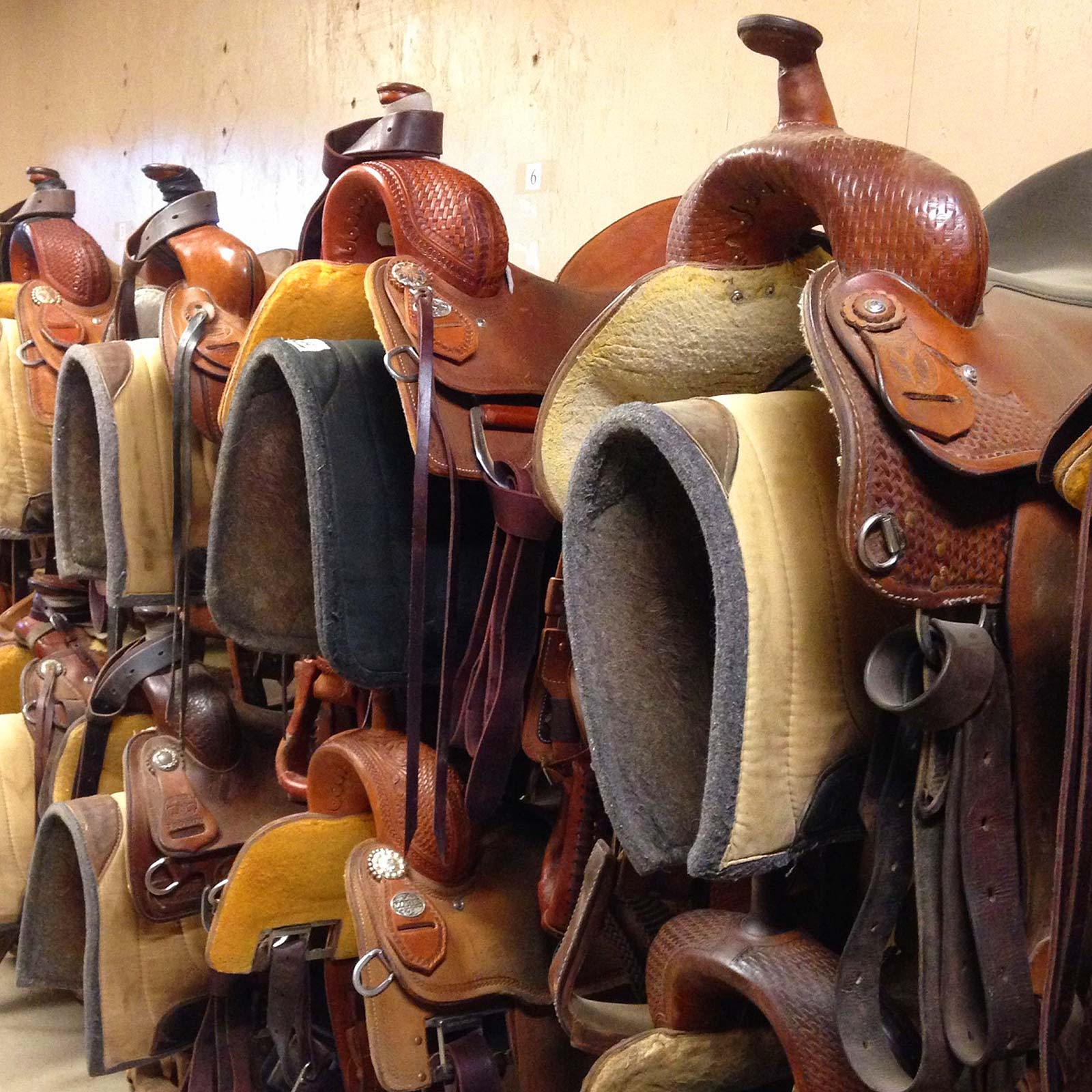 Tack Cleaner and Conditioner – EquineSkys